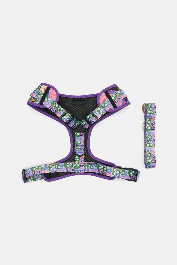 Petal Pallette Pet Gift Set – Gorman