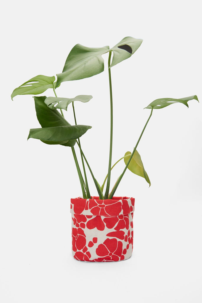 Daisy Red Planter Med – Gorman