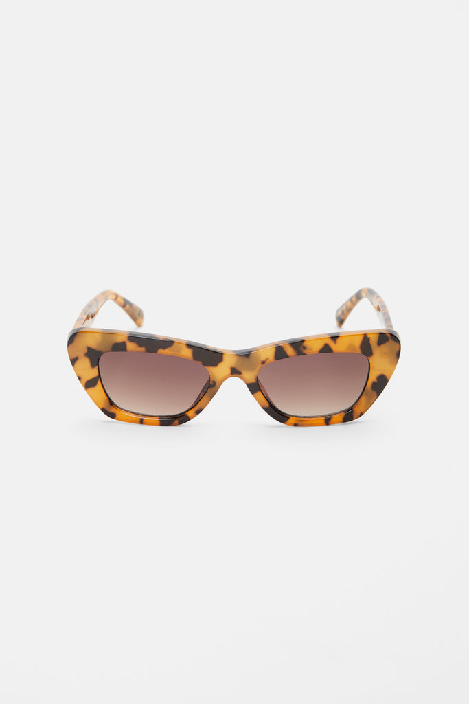 Perception Shell Sunglasses – Gorman