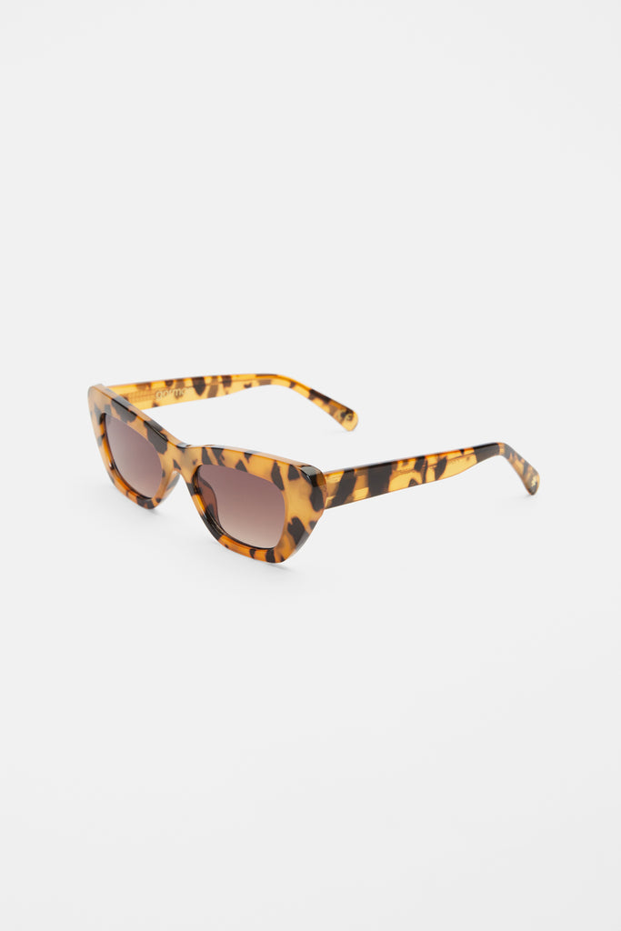 Perception Shell Sunglasses – Gorman